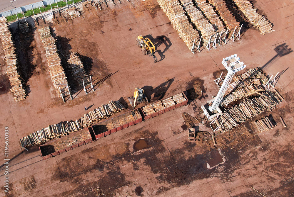 Excavator log grab crane loads timber in freight car. Crane claw load ...