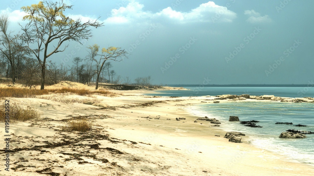 Coastal, arid beach scene; calm ocean, sparse trees, sunny sky; travel ...