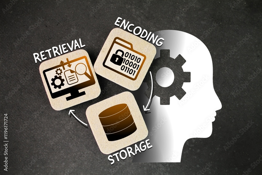 Encoding, storage and retrieval. What Is Memory, stages and processes ...