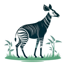 Zebra Legs Okapi Animal Free Stock Photo - Public Domain Pictures