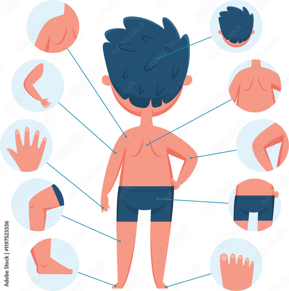Educational infographic showing different body parts of a boy ...