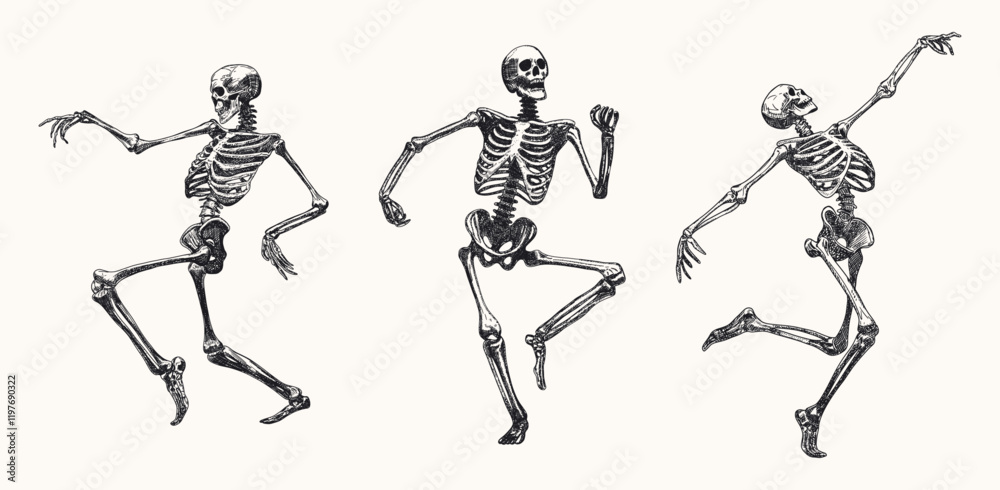 skeletons set isolated dance movements various dynamic pose hand drawn ...