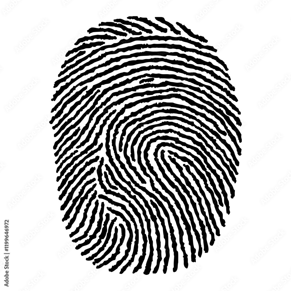Fingerprint Detailed Black and White Outline Line Art Drawing of Unique ...