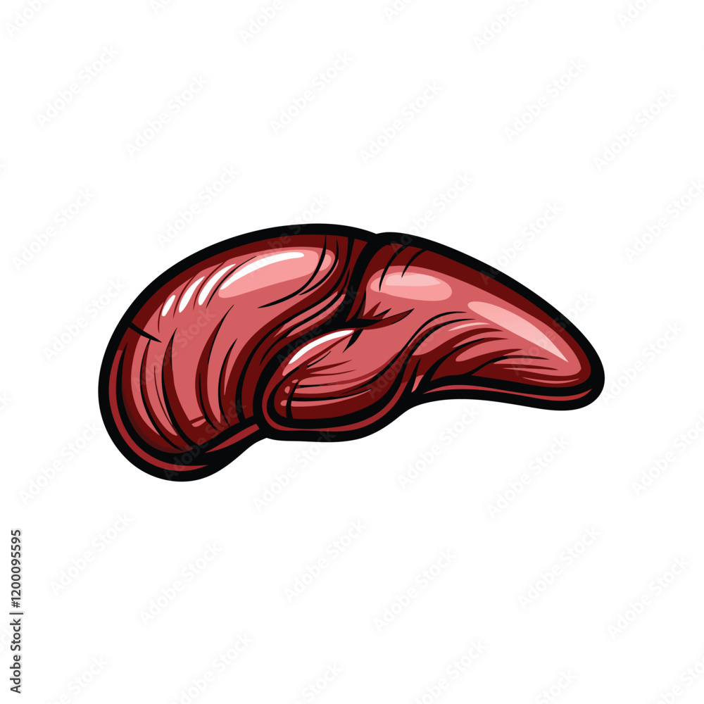 Create a vector image of a chicken liver, showcasing a smooth ...