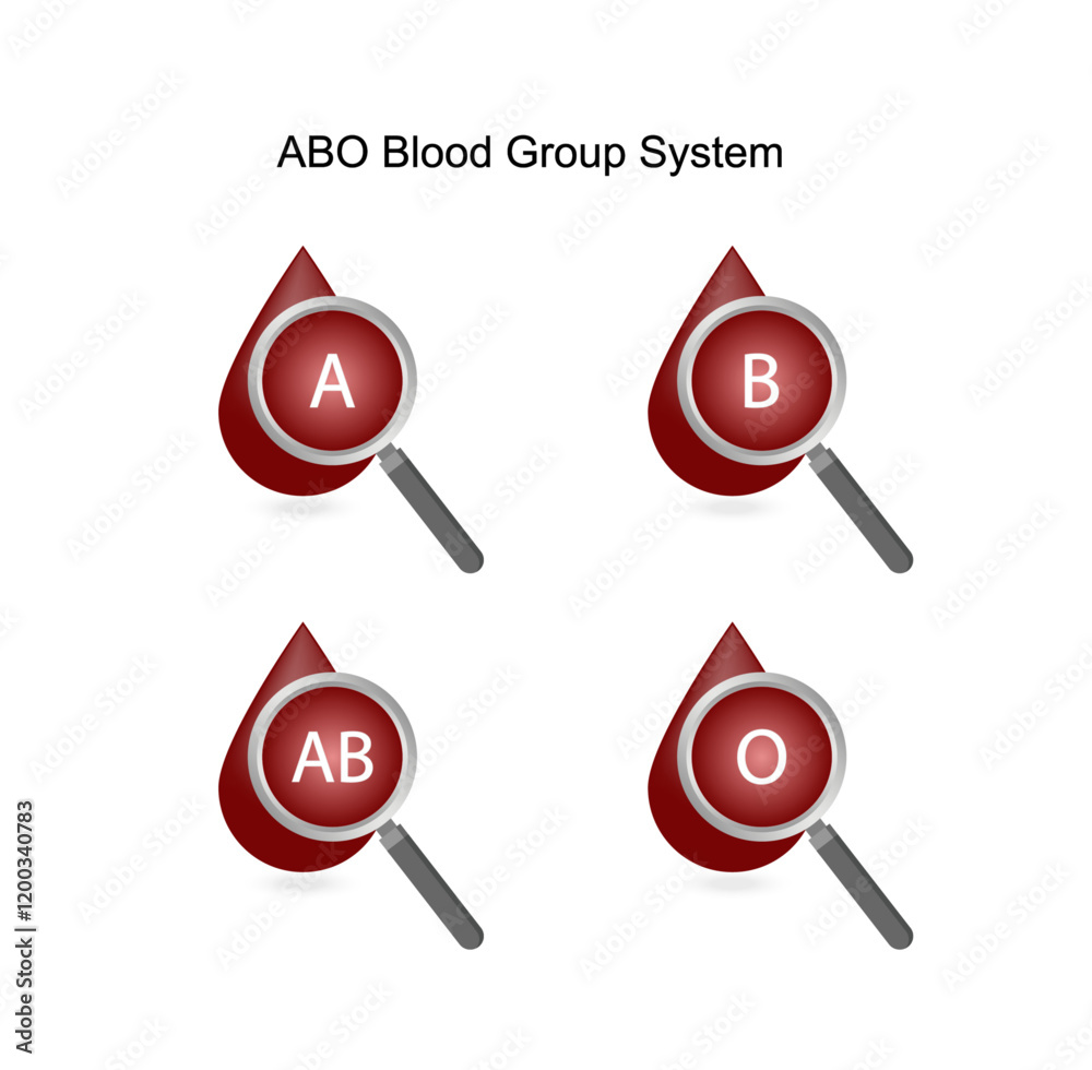 ABO Blood groups. four blood types, A,B, AB and O groups, made up from ...