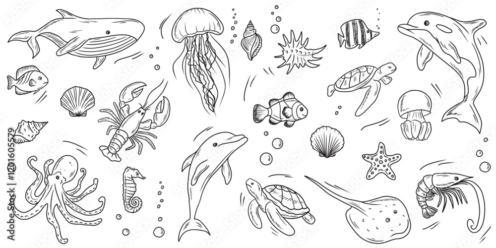 Sea animals. Whale dolphin, sea shell, swimming turtle, fish, shrimp ...