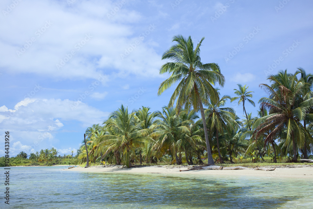 Sandy beach with palm trees in the San Blas (Kuna Yala) island group ...
