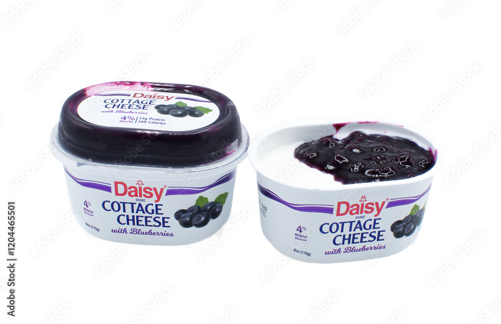 Ocala, FL 1-18-25 Daisy Cottage Cheese with Blueberries, 4 percent ...