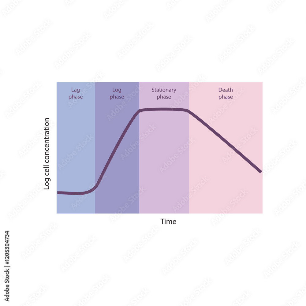 Diagram of bacterial growth curve - lag, log, stationary and death ...