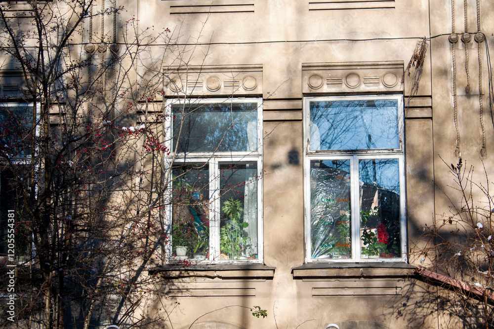 windows behind bare trees, houses, stucco, old town, center, Europe ...