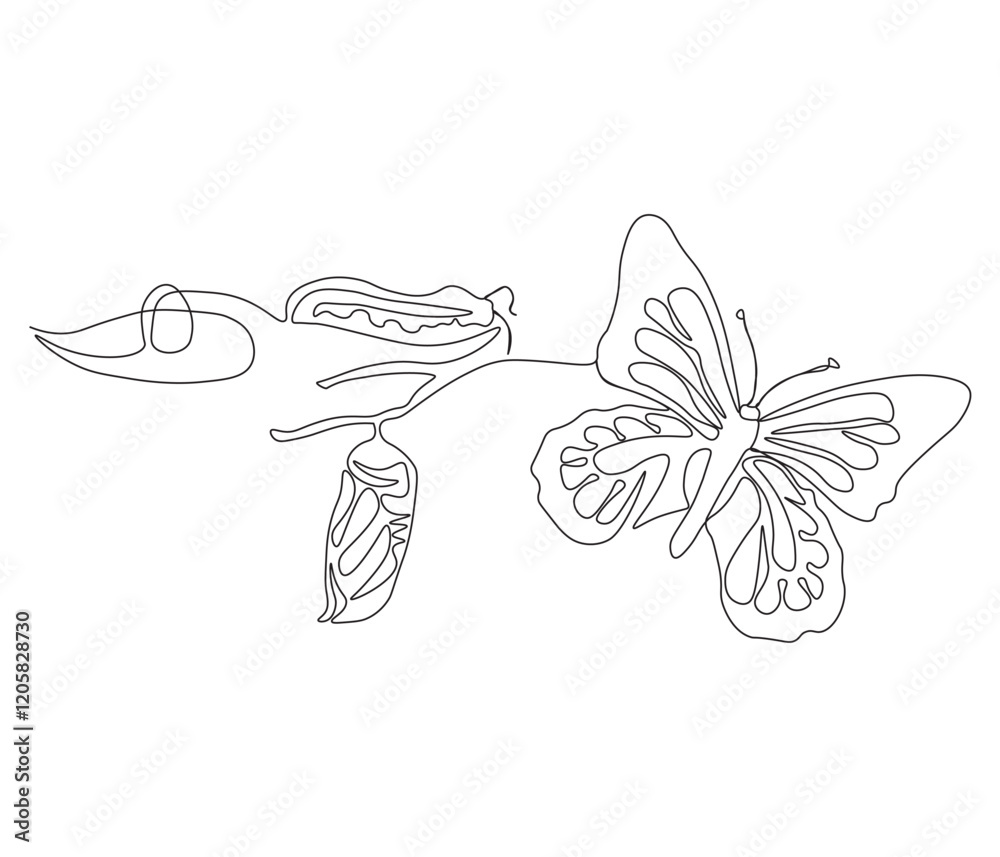 Continuous one line drawing of butterfly life cycle . Single line ...