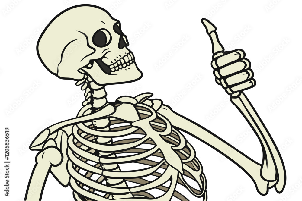 Human Skeleton Thumbs Up Gesture Realistic Bone Texture Anatomically Correct Ivory Color