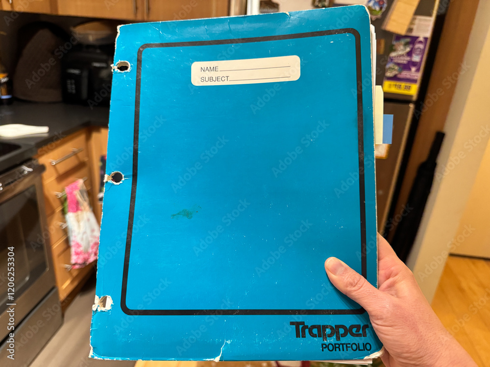 Vienna, Virginia - January 16, 2025: Hand holds an original 1980s ...