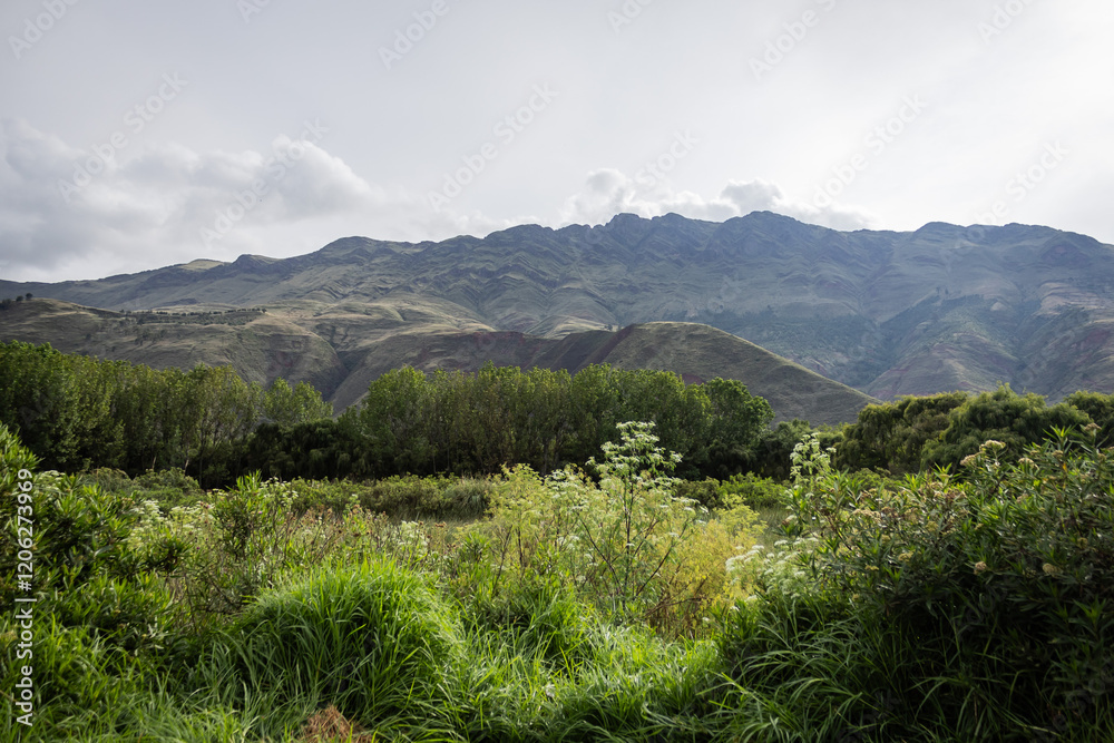 Humedal de Huasao: Un oasis natural en el corazón del Cusco. Stock ...