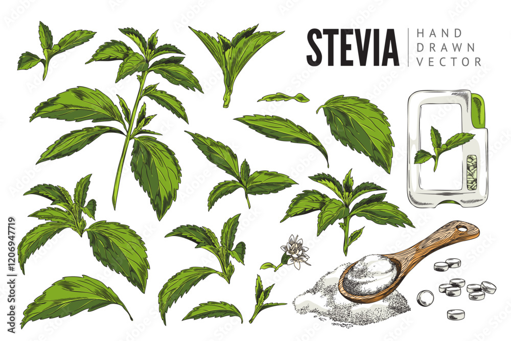 Vector educational poster with branches, flowers, leaves and finished ...