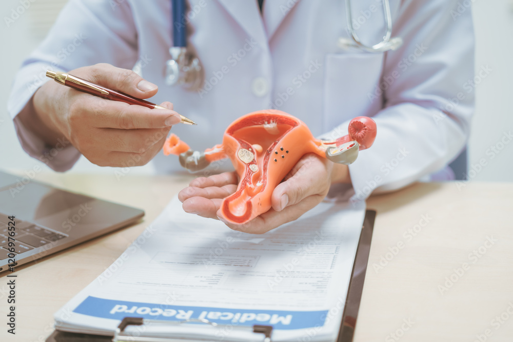 Male doctor treating female uterine diseases at hospital table ...