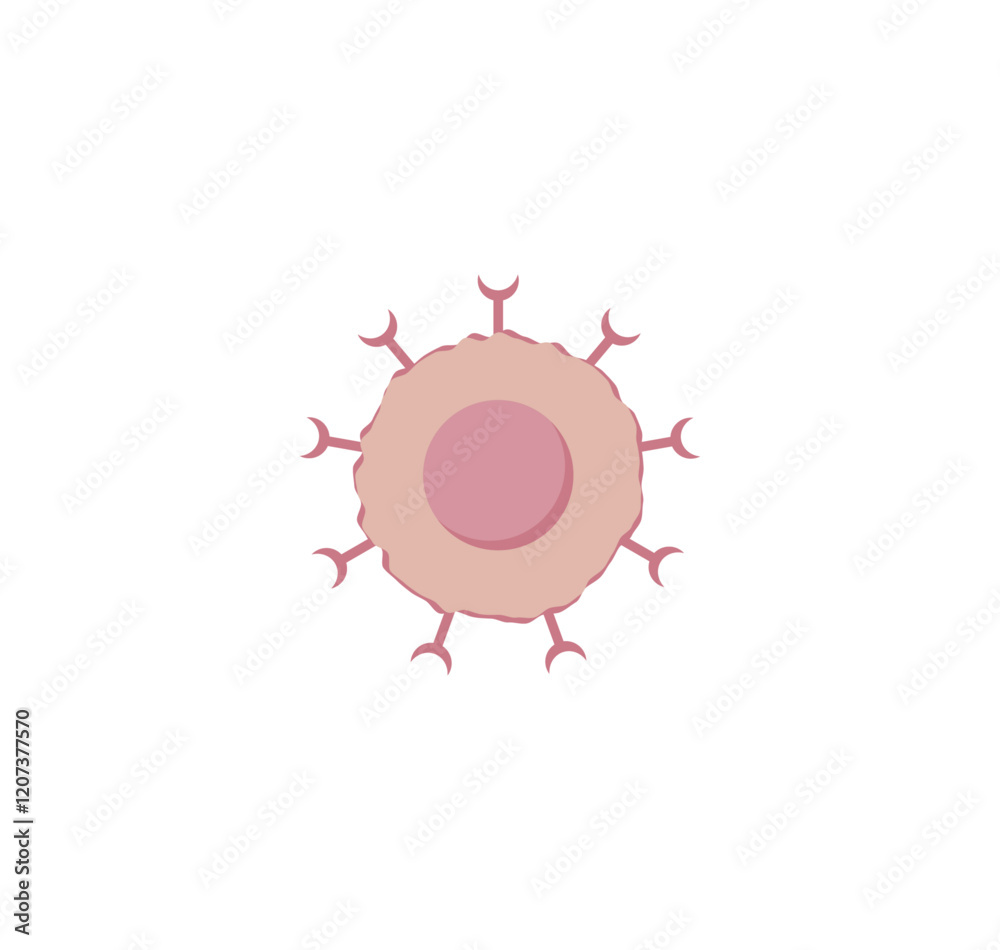 T Cell, T cell icon, helper and cytotoxic T cell, CD Antigen Types ...