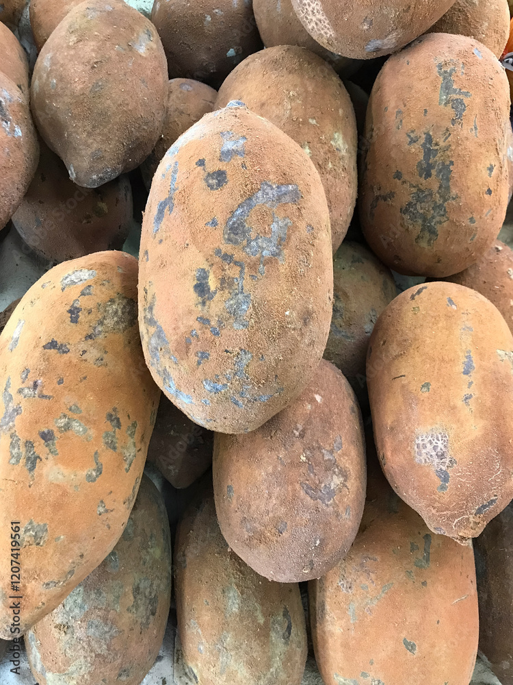 Cupuaçu fruits (Theobroma grandiflorum), native to the Amazon, stacked ...