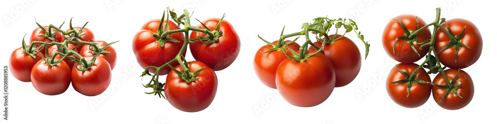 Cherry tomatoes in various stages of ripeness still attached to the ...