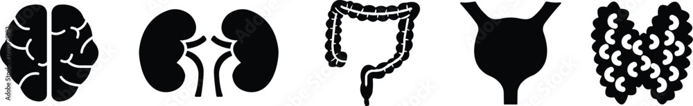 Human Organs Hand Drawn flat Icon Set Organs Vector for apps, web sign ...