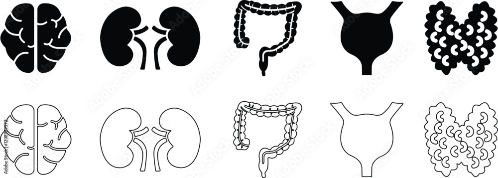 Human Organs Hand Drawn flat Line Icon Set Organs Vector for apps, web ...