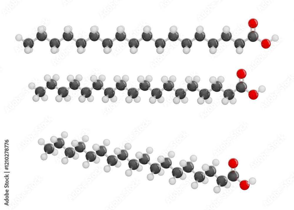 Molecule of Stearic Acid. Set of views. Molecular formula: C18H36O2 ...
