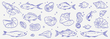 Vintage Fish Drawing Free Stock Photo - Public Domain Pictures