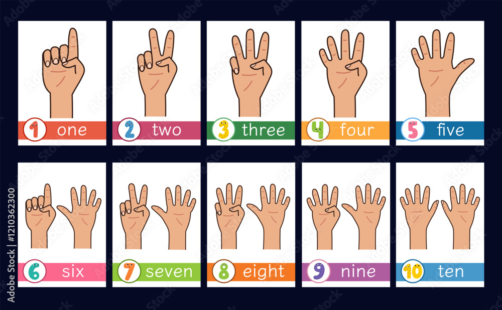 Learning numbers flashcards collection for kids. Finger counting flash ...