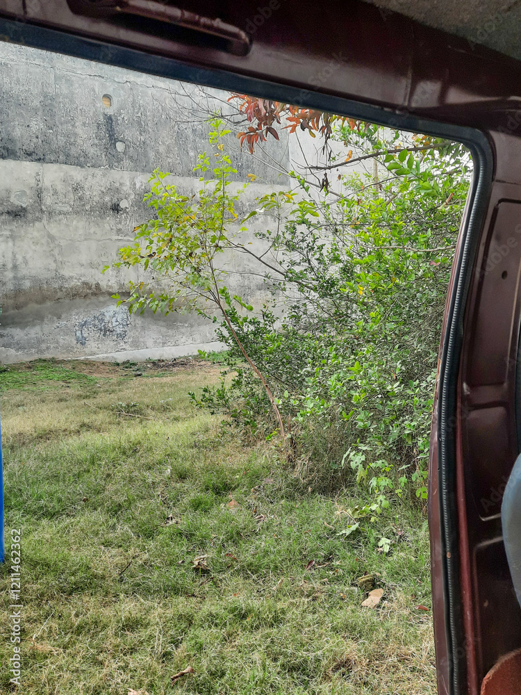 Old abandoned car in the forest with overgrown plants and trees surrounding it Stock Photo ...