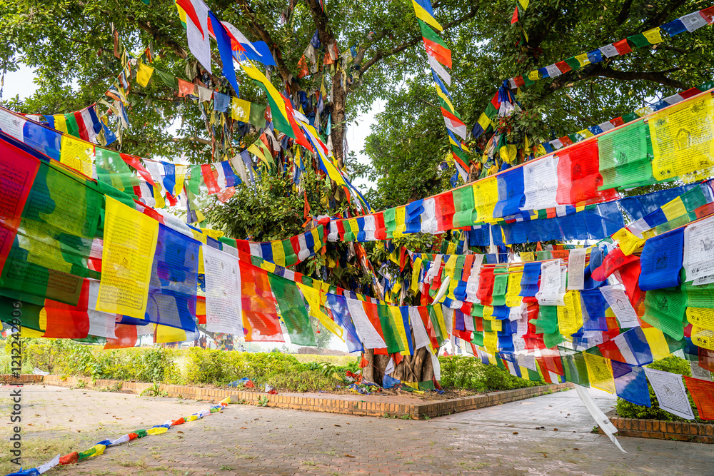 Lumbini is the birthplace of Buddha. Today, Lumbini is located in Nepal ...