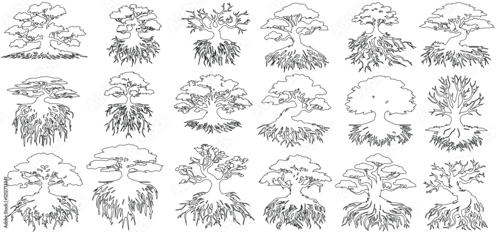 Minimal style cad tree line drawing, background, set of graphics trees ...