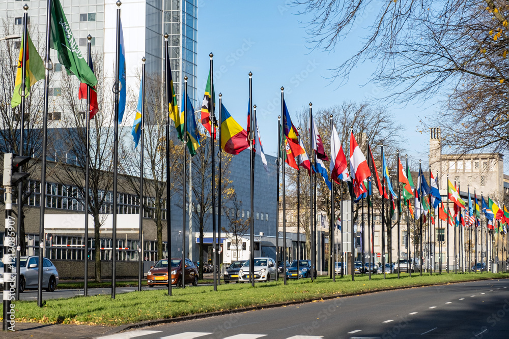 street many flag different countries Parade World Forum The Hague ...