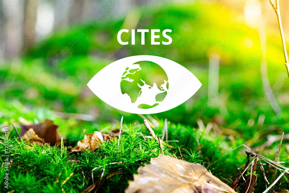 CITES (Convention on International Trade in Endangered Species of Wild ...