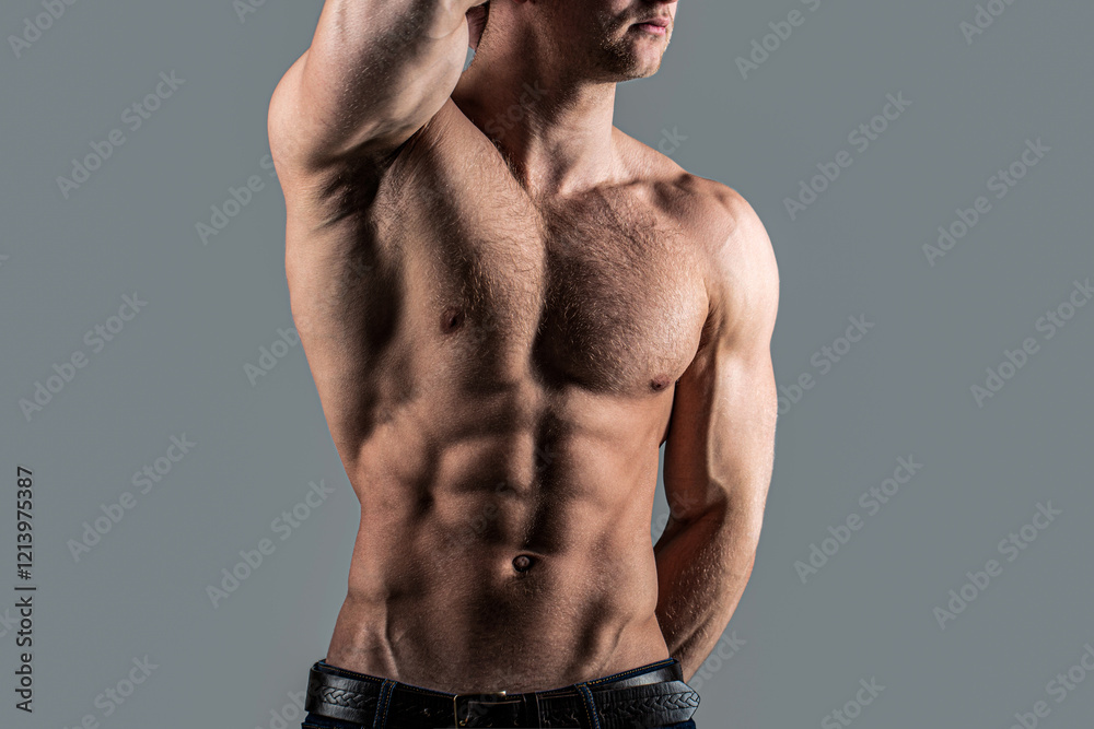 Muscular male torso. Perfect fit, shoulders, deltoids, biceps, triceps ...