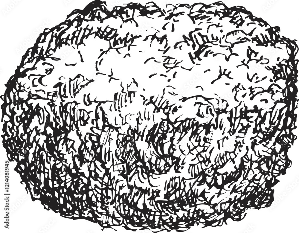 Hand draw sketch thuja bush in monochrome color. Vector illustration ...