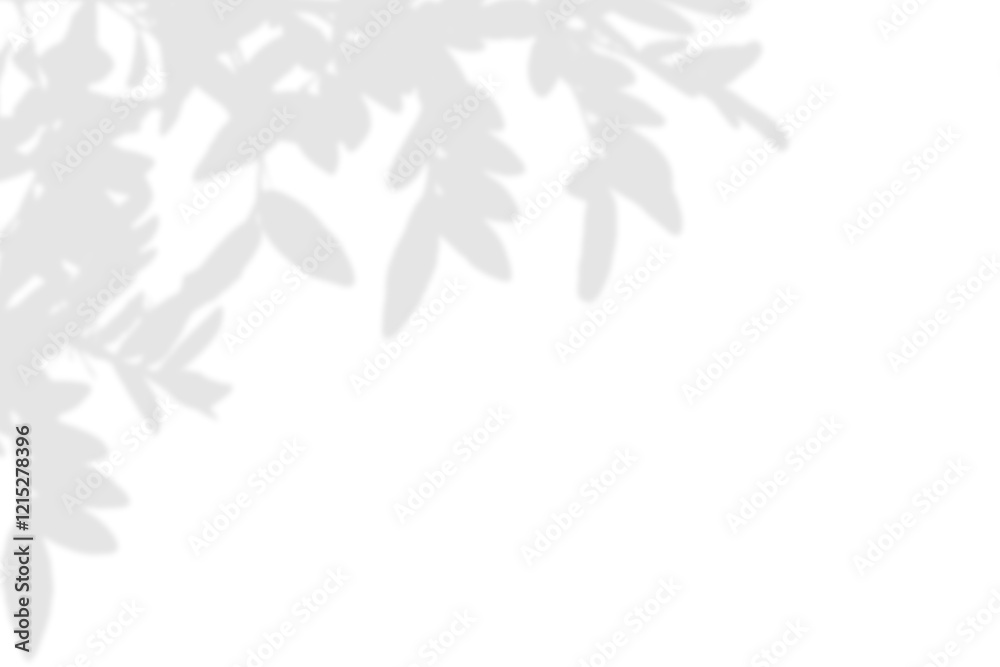 Realistic blurred leaf shadow effect isolated on transparent background ...