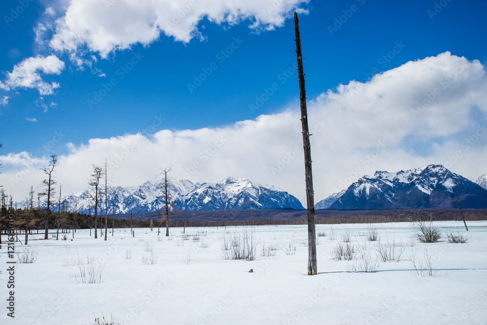 Russia. Beautiful scenery of the northernmost desert in the world. View ...