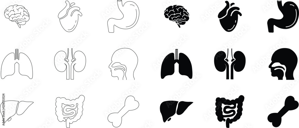 Human internal organs and anatomy related vector icon set. Human body ...