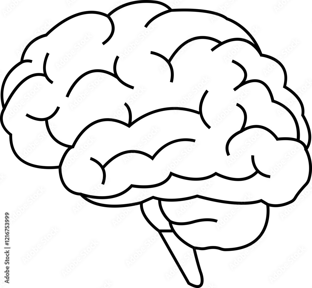 Human Brain line icon. Think illustration sign. Human body related ...