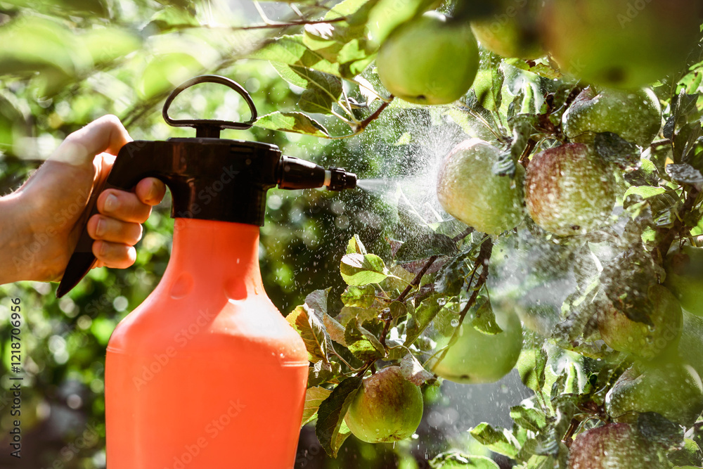 Spray Apple Trees with Apples Fruits to Prevent Pests Worms and ...