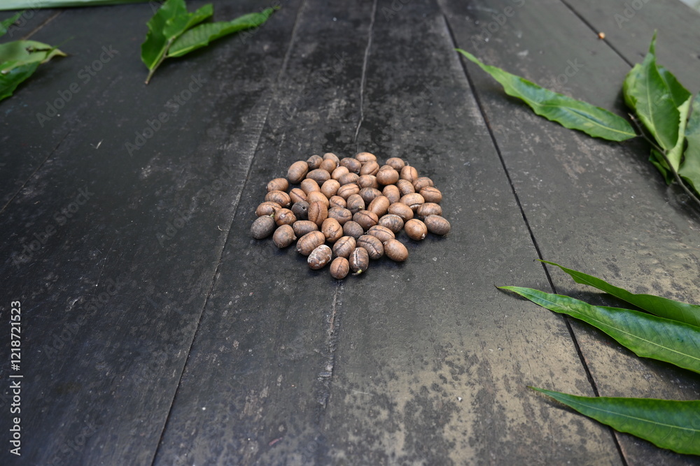 Polyalthia longifolia seeds. The Ashoka tree is native to India. A ...