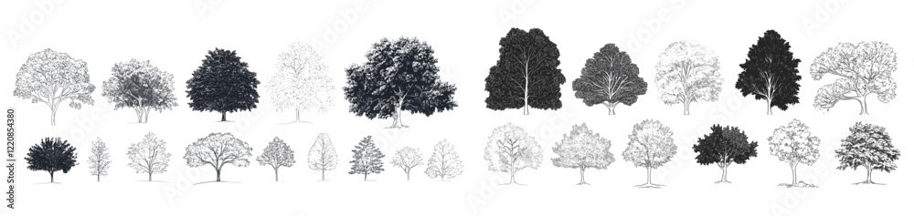 Oak tree vector drawing, minimal style, tropical tree line ...