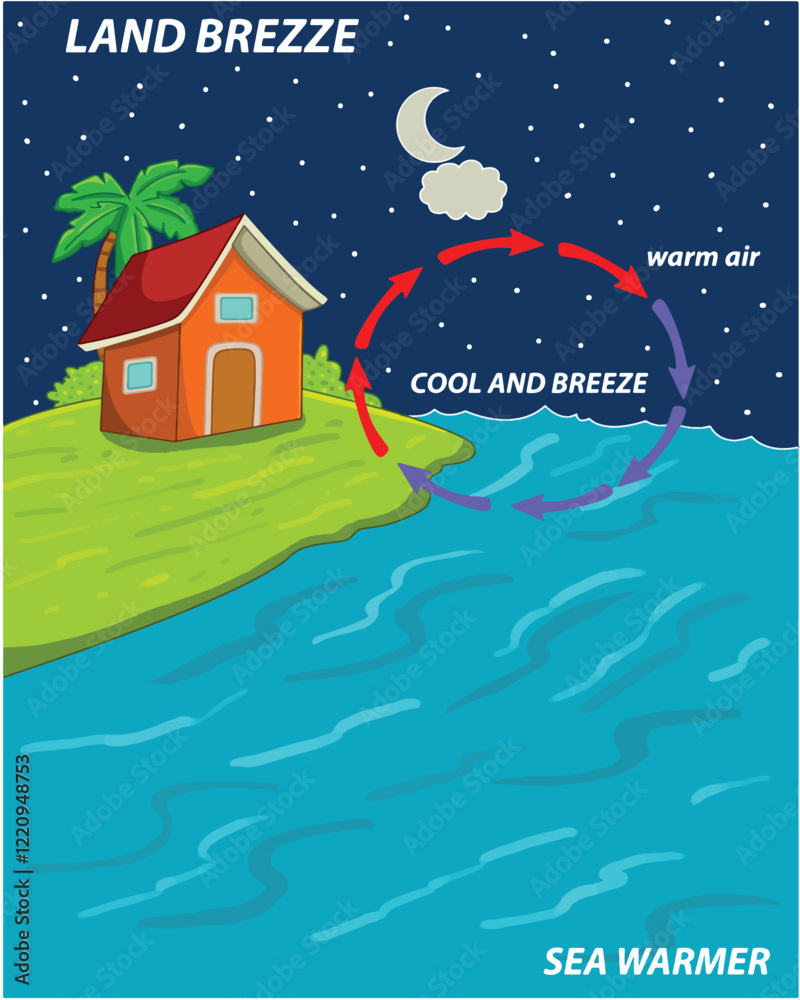 Cute cartoon hand drawn vector Diagram showing circulation of land ...