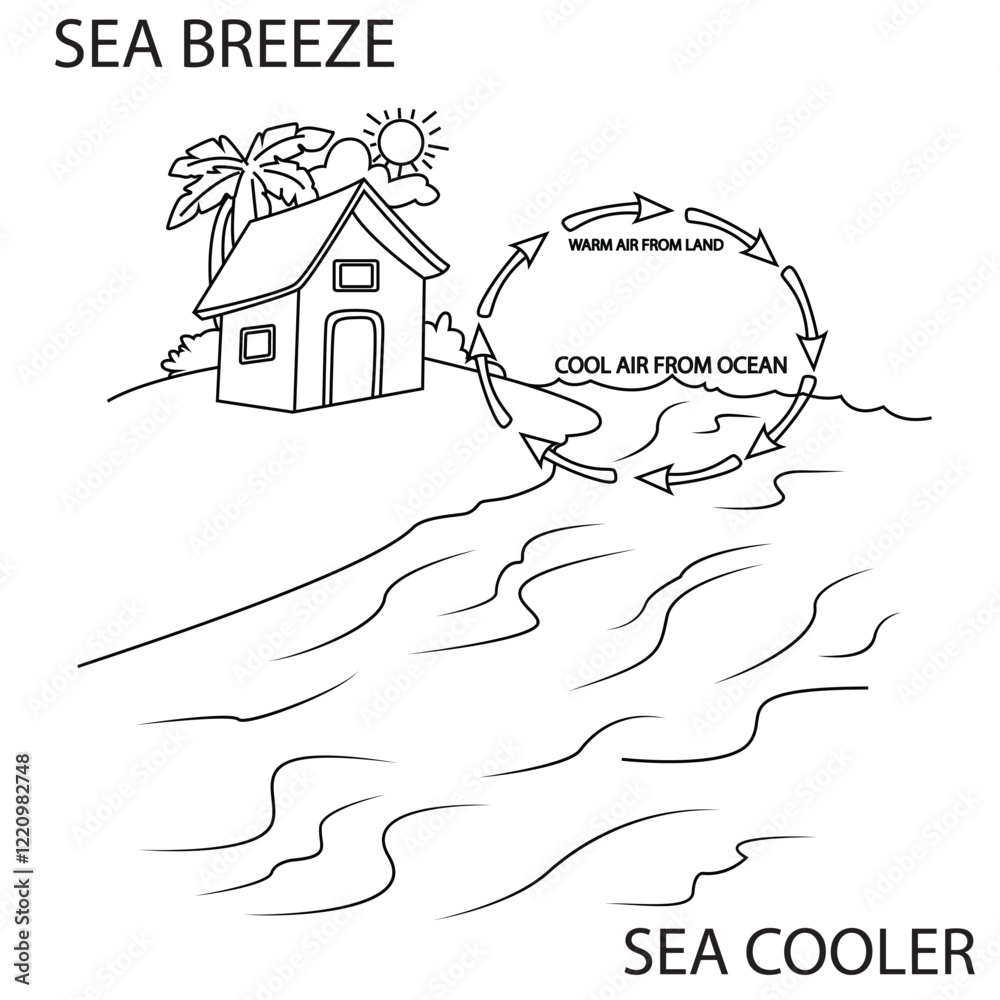 Science of hand drawn vector Diagram showing circulation of sea breeze ...
