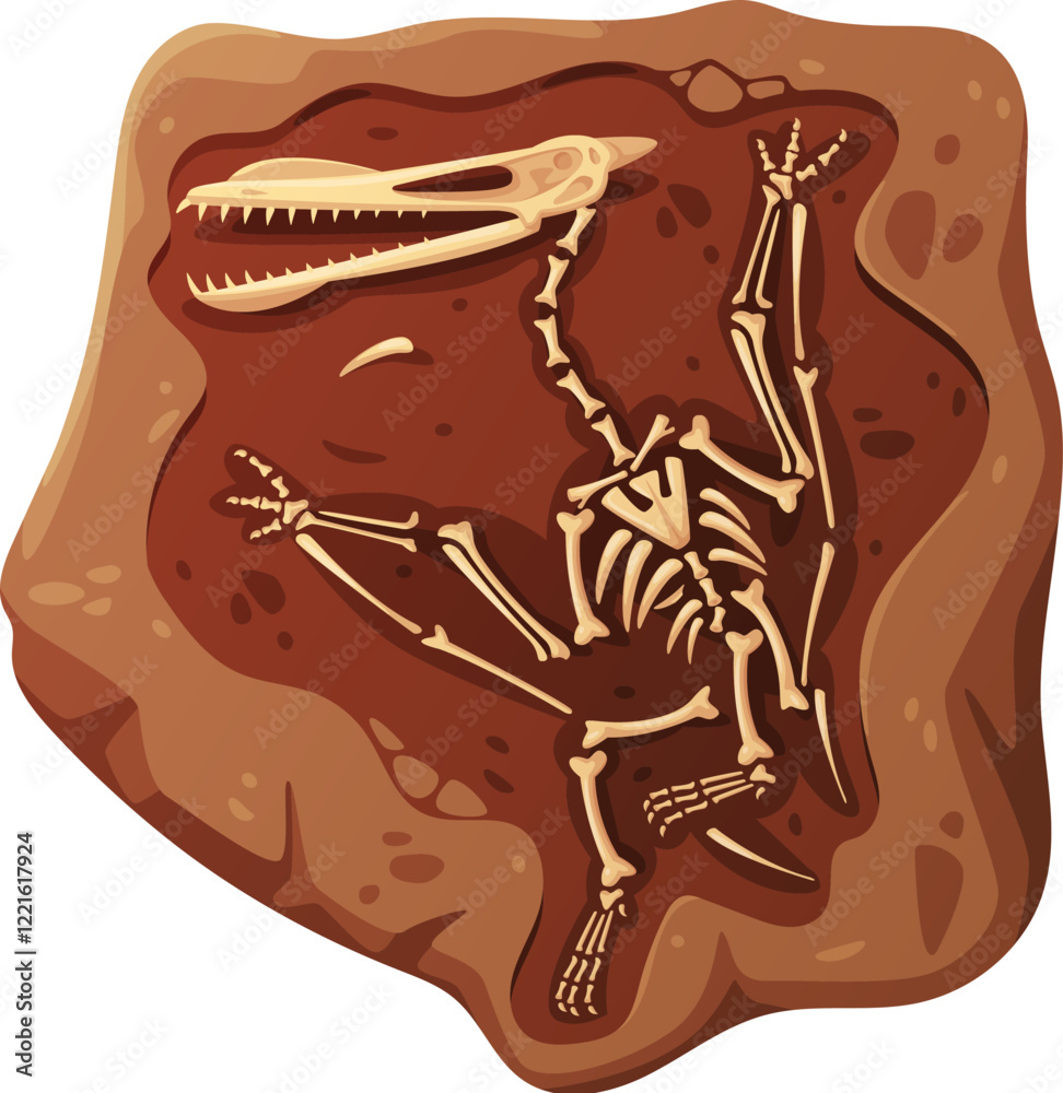 Dino fossil skeleton bones, prehistoric creature skeletal structure ...