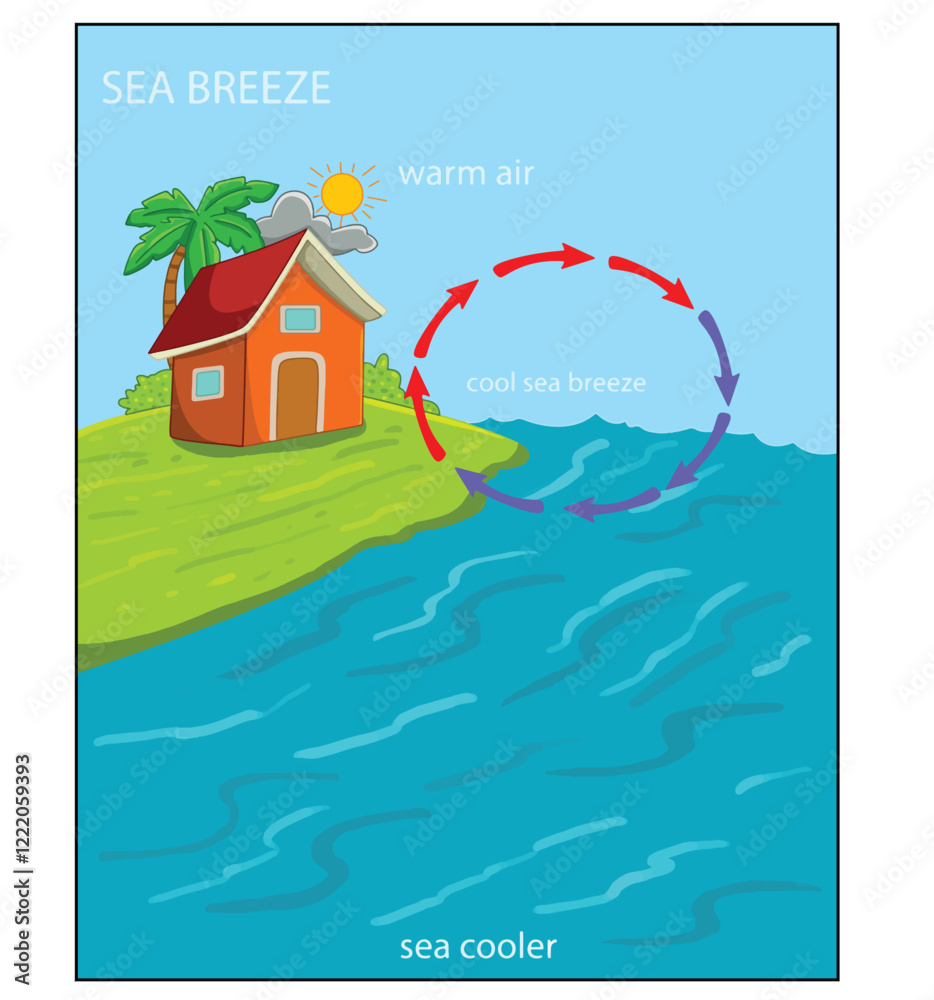 Science of hand drawn vector Diagram showing circulation of sea breeze ...