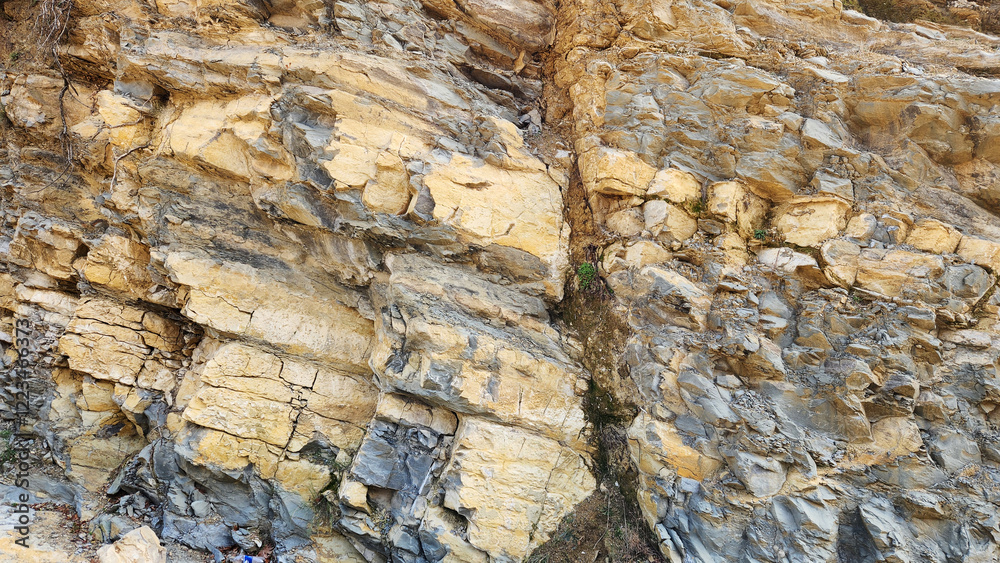 layers of the Upper Jurassic and Lower Cretaceous depict flysch rocks ...