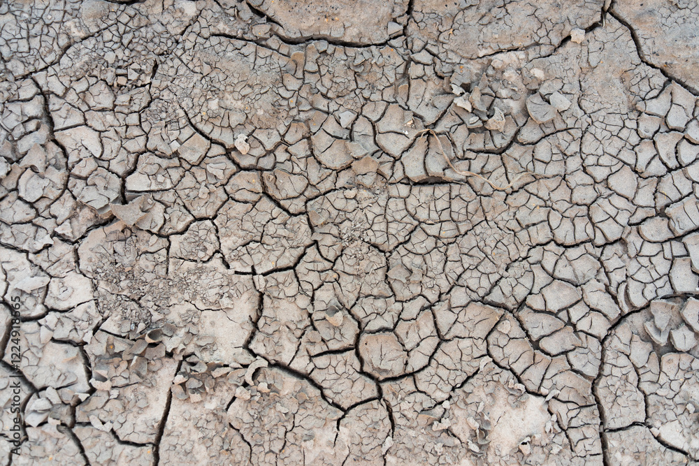 Cracked, dry earth with a network of irregular fissures and fragmented ...