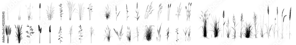 Modern illustration featuring outlines of plant elevation lines with ...