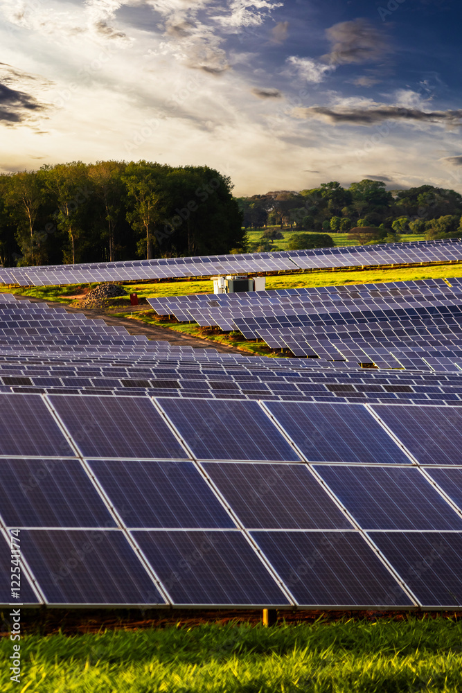 Solar farm in Brazil. Solar power for green energy. Sustainable ...